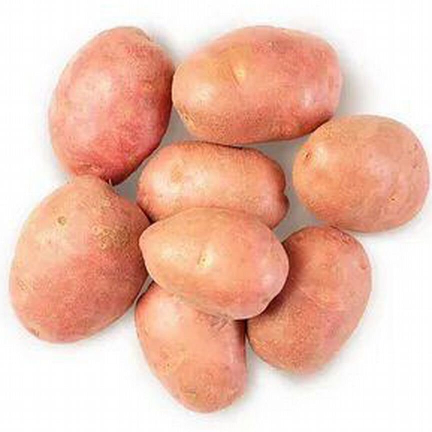 Картофель еда