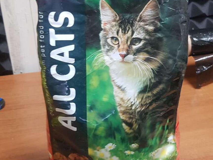 Корм для кошек all cats