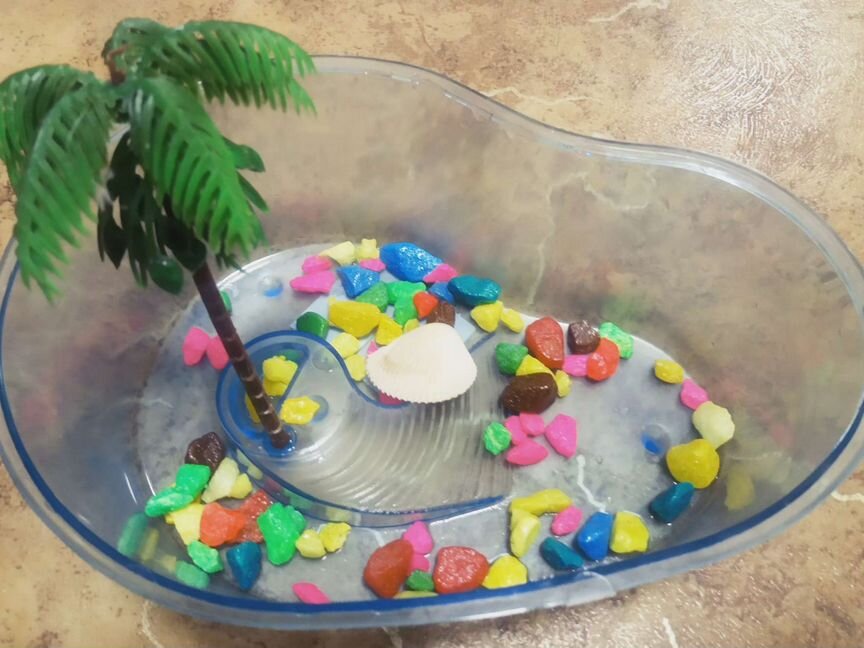 Аквариум черепашник