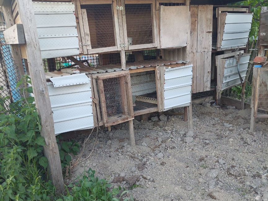 Клетка для домашнего кролика