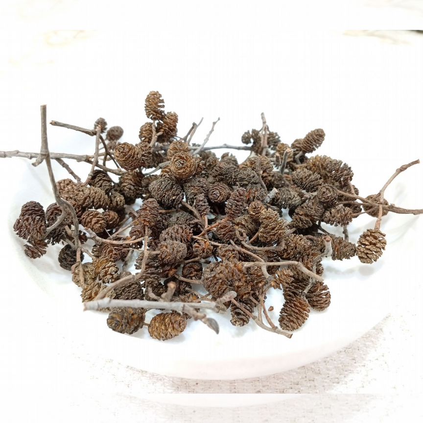 Ольховые шишки