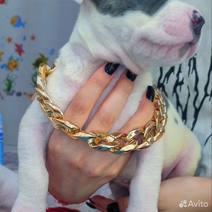 Супер крупные,тяжёлого типа малыши стафф,доставка