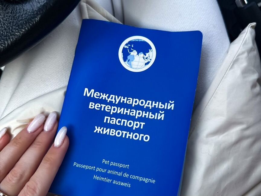 Ветеринарный паспорт на выезд