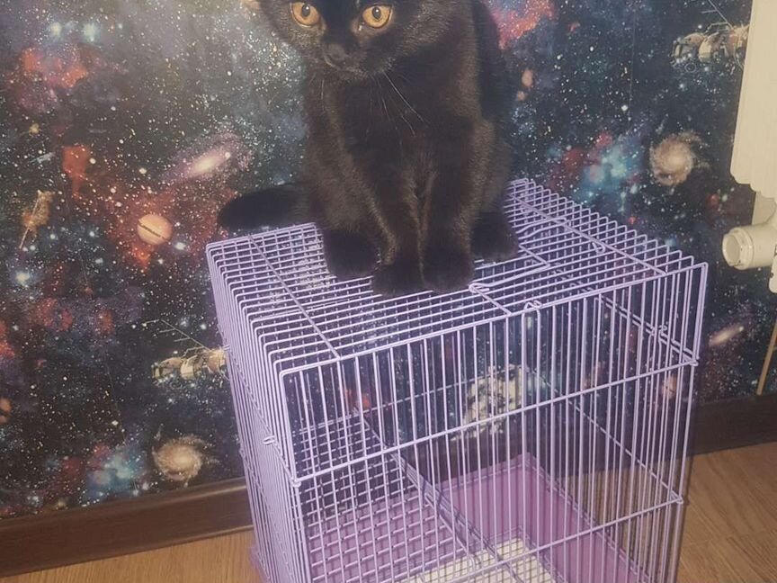 Клетка для грызунов