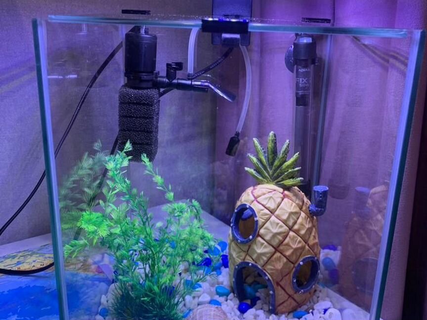 Аквариум с светом, фильтром, водонагреват. 19л