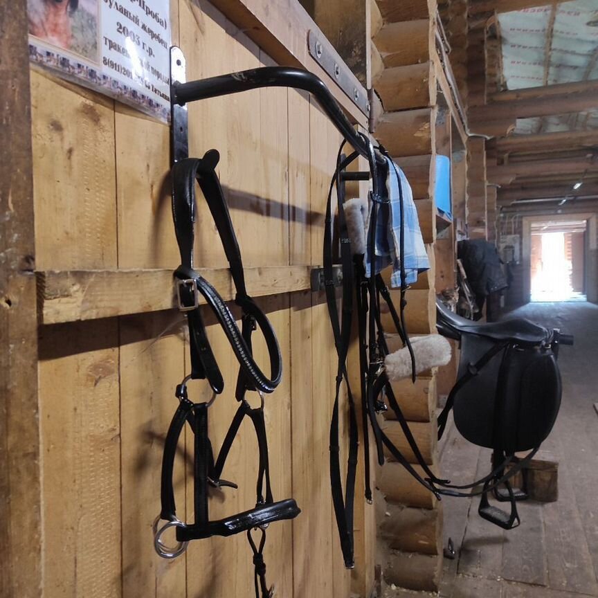 Сайдпулл для лошади, cob