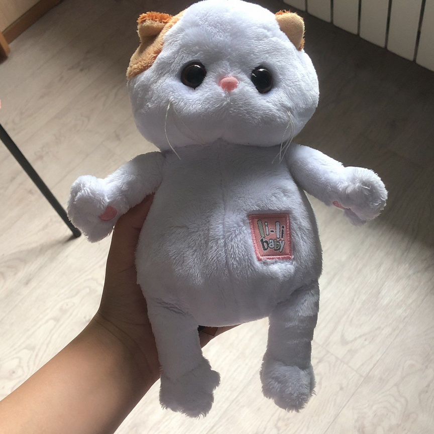 Кошечка Лили