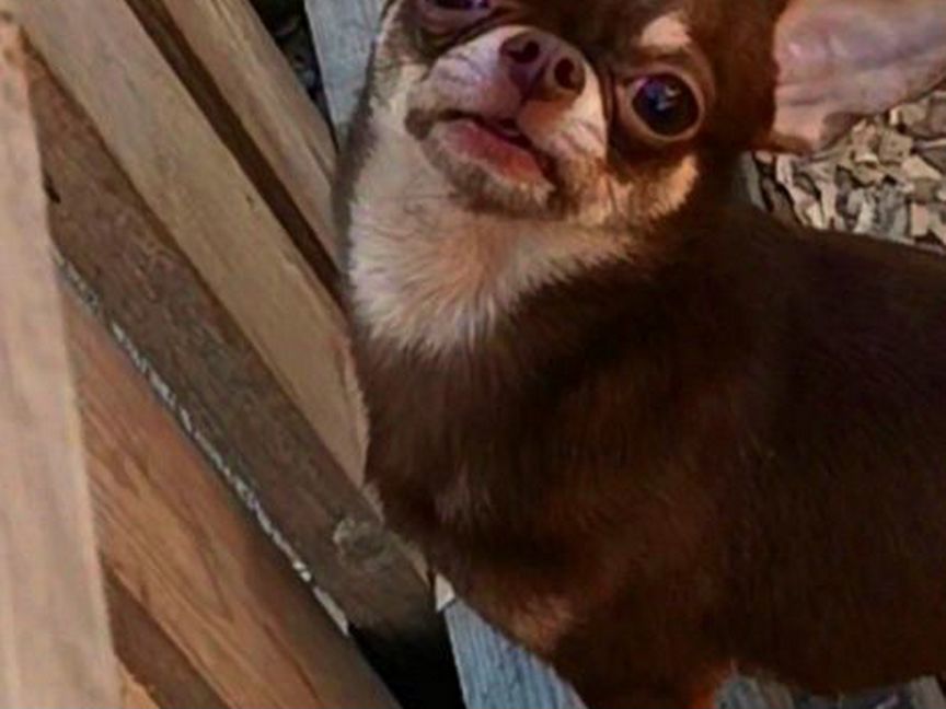 Шикарный кукляшный парень