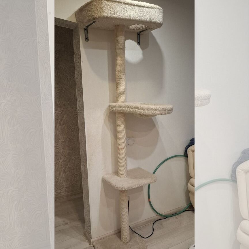 Когтеточка