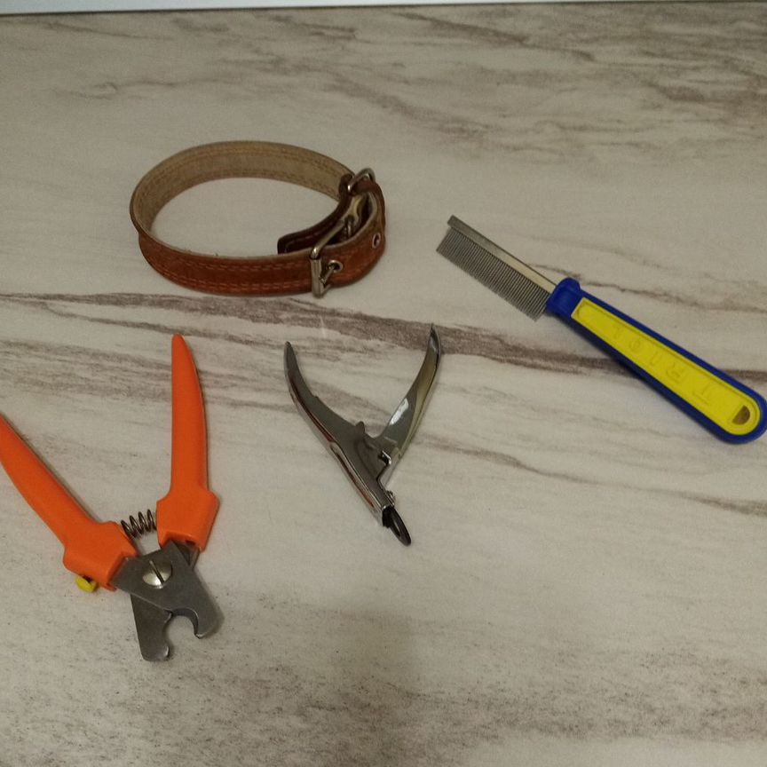 Ошейник для собак