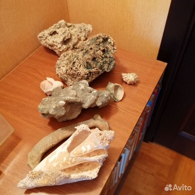 Переноски для рыб