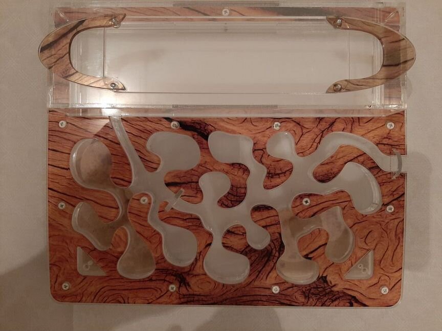 Муравьиная ферма (формикарий)