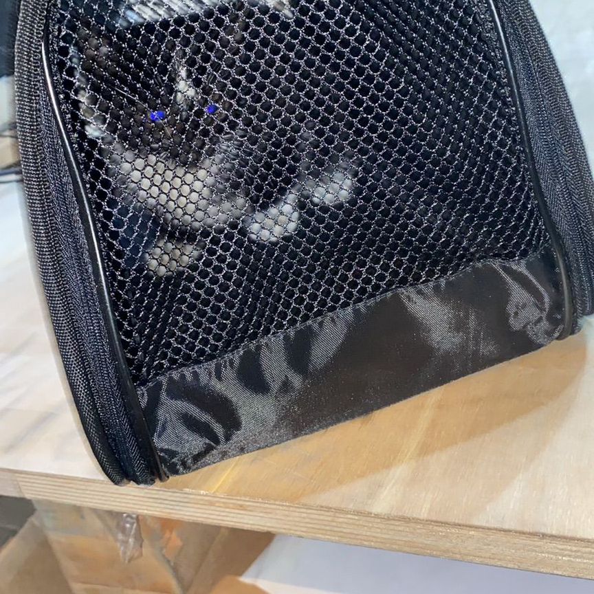 Котёнок с неотапливаемого склада