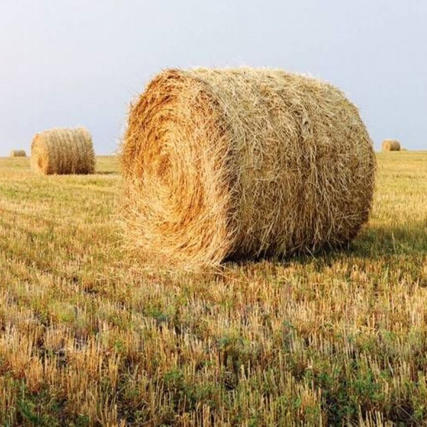 Солома в рулонах