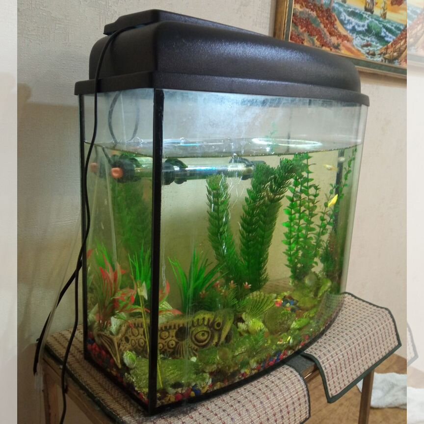 Аквариум с рыбками