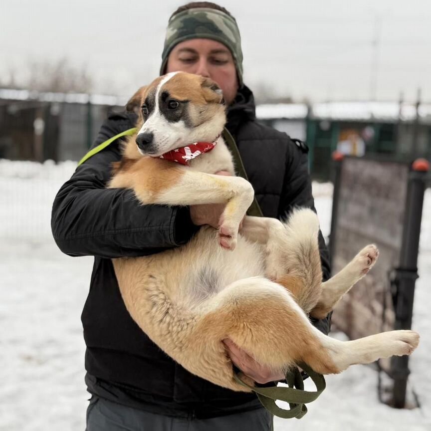 Щенок Манюня с мусорки