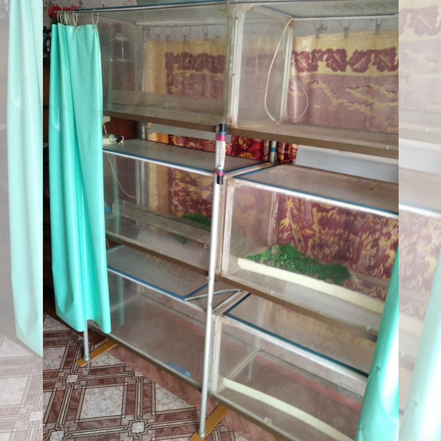 Стеллаж с аквариумами