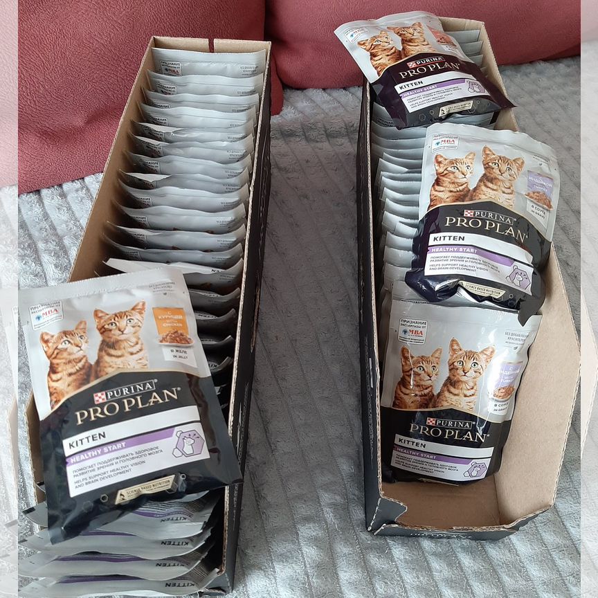 Корм для котят проплан влажный