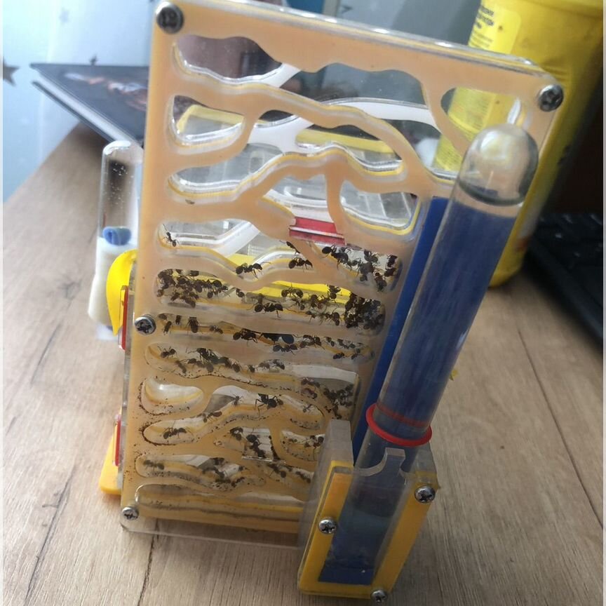 Муравьиная ферма бу с муравьями жнецами желтый