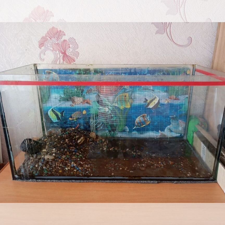 Аквариум на 100 литров