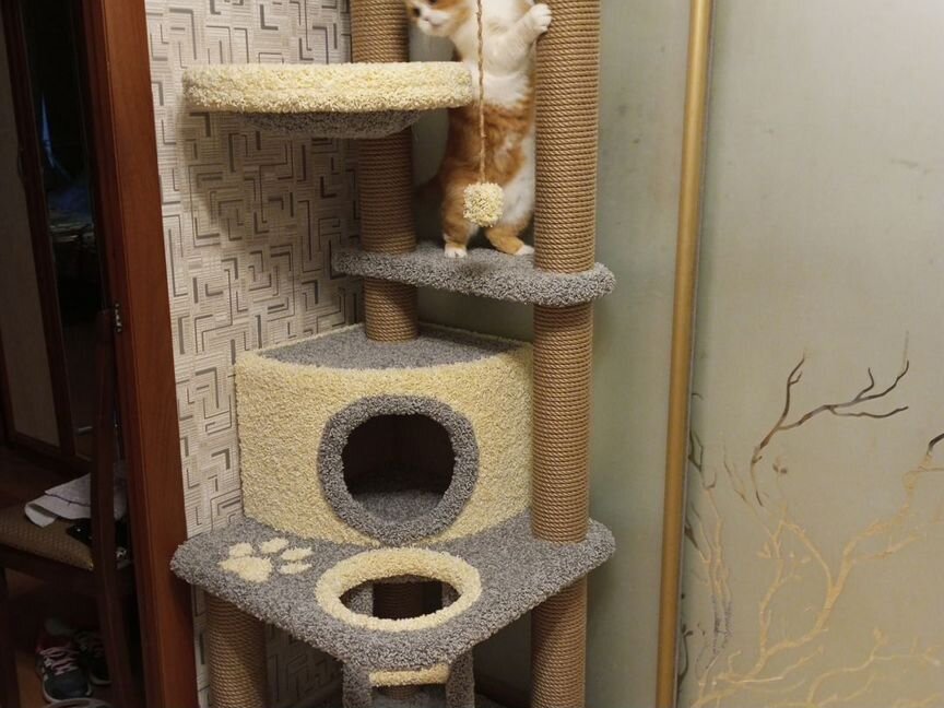 Когтеточка домик для кошек
