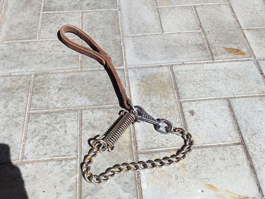 Строгий ошейник поводок хром с амортизатором