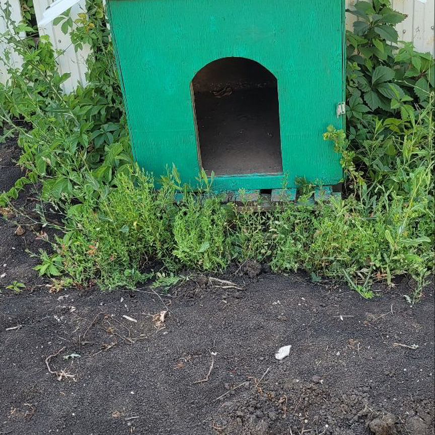 Собачья будка теплая