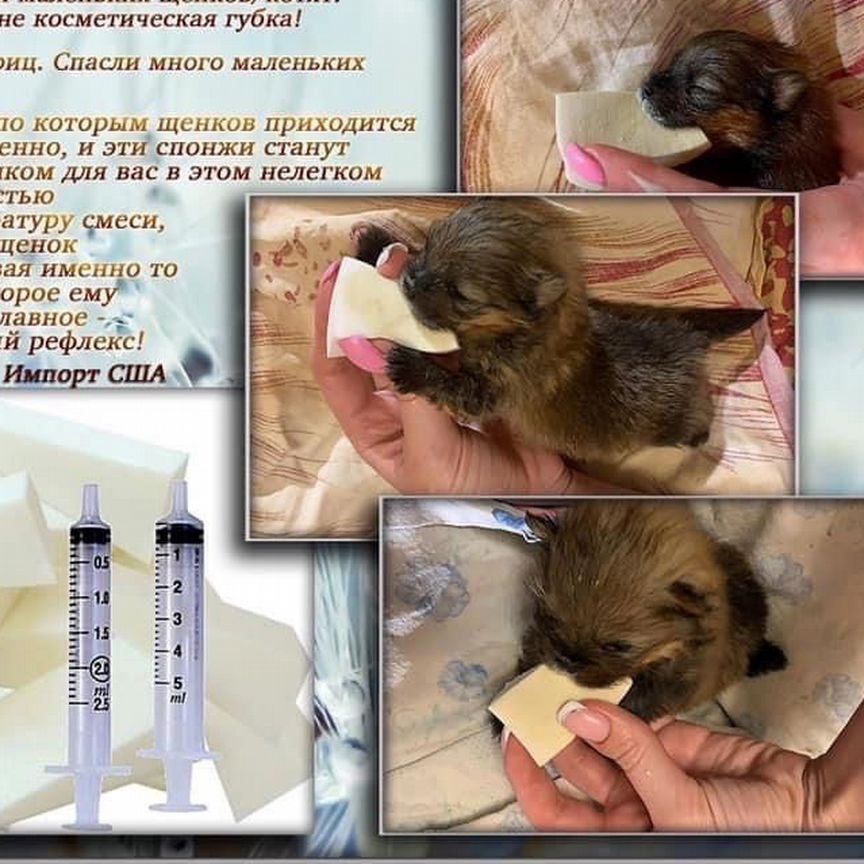 Спонжи для выкармливания щенков/котят