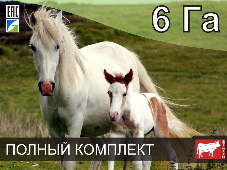 Электропастух для лошадей на 6 Гектар