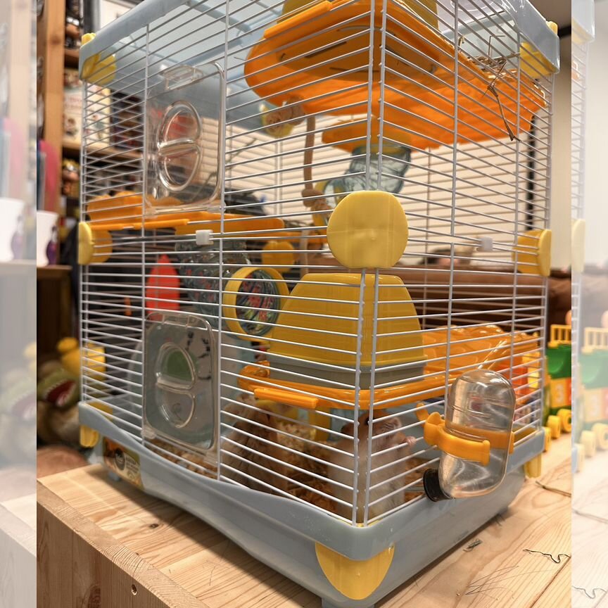 Клетка новая для хомяка, мыши песчанки, грызунов