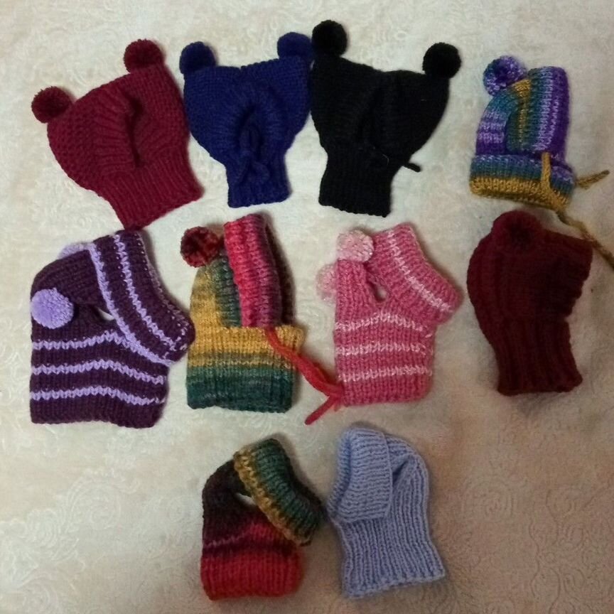 Вязаные шапочки для собак