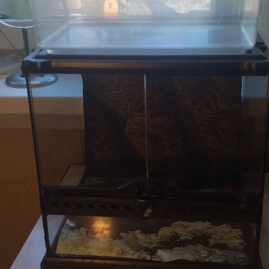 Террариум бу 30-30 см. Переноска  подогрев  свет