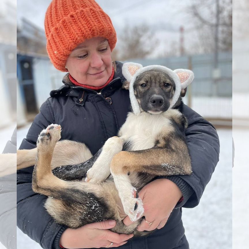 Щенок в добрые руки
