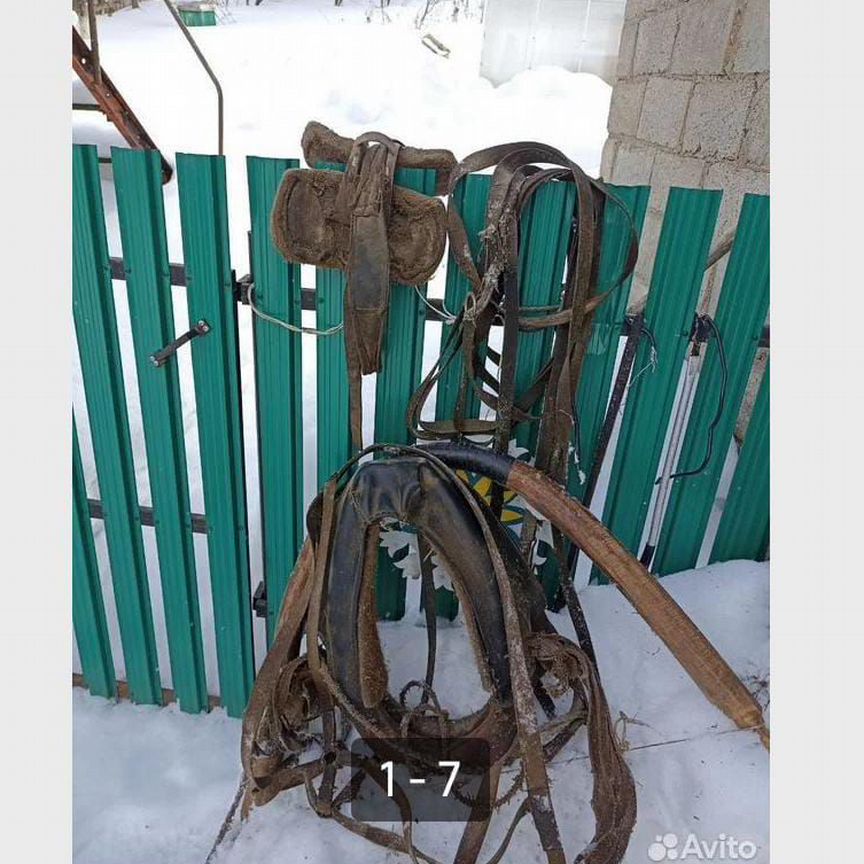 Сбруя для лошади и сани рабочие