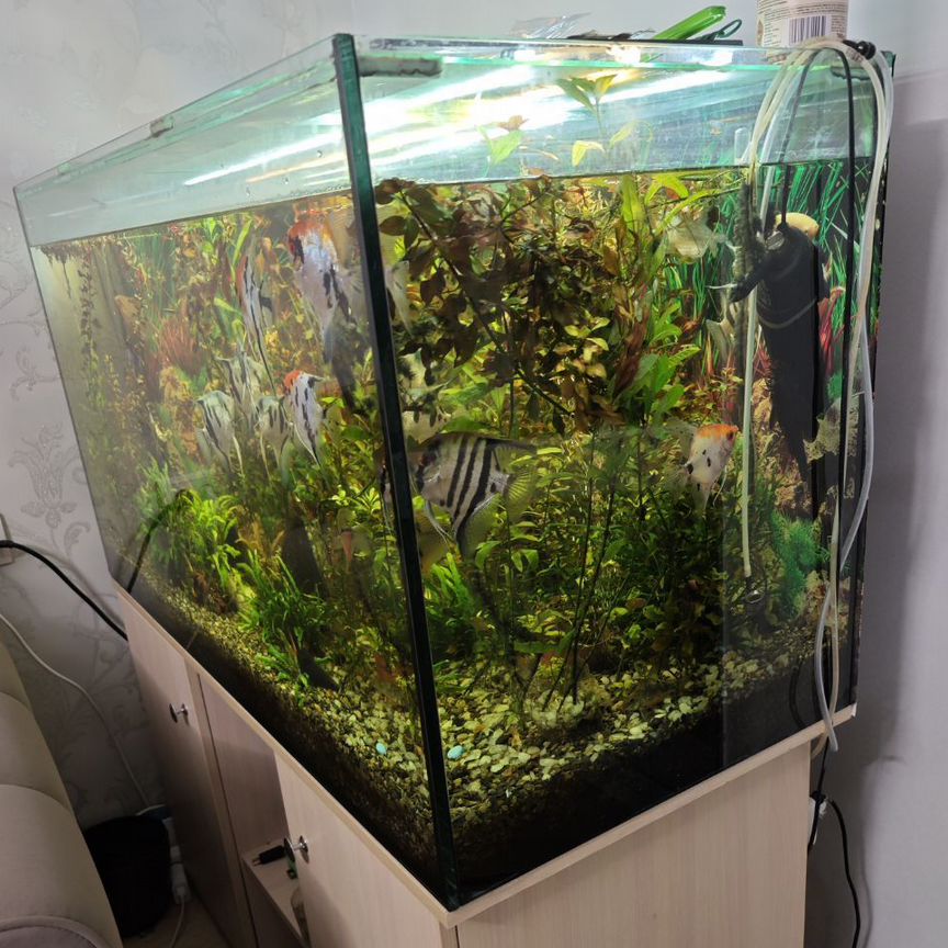 Аквариум 350л с тумбой