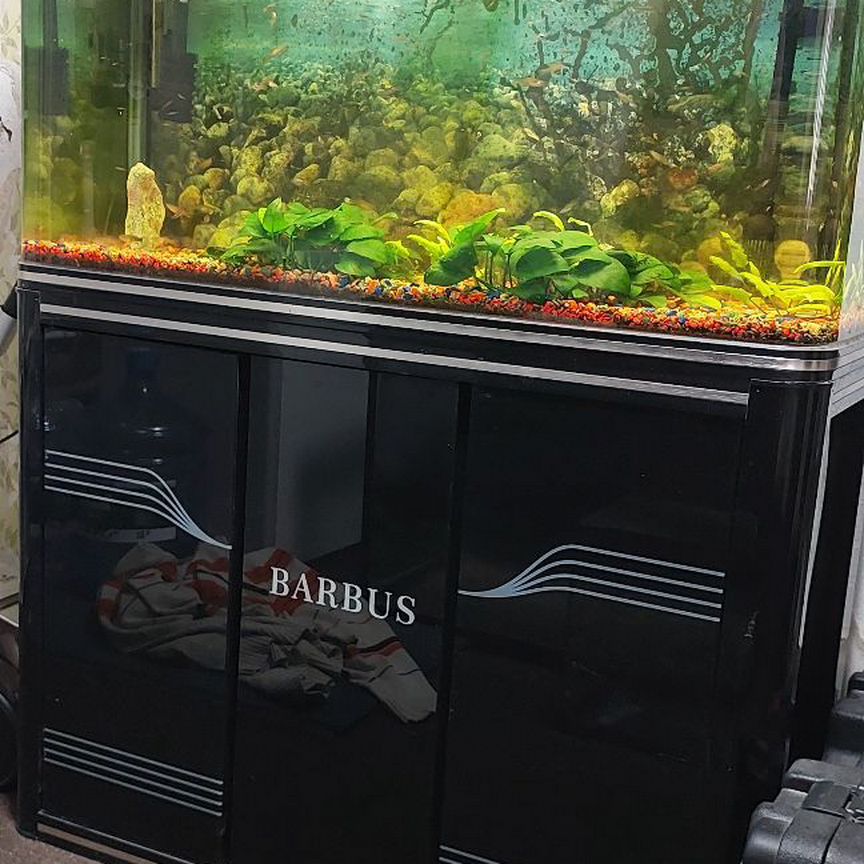 Аквариум с тумбой barbus