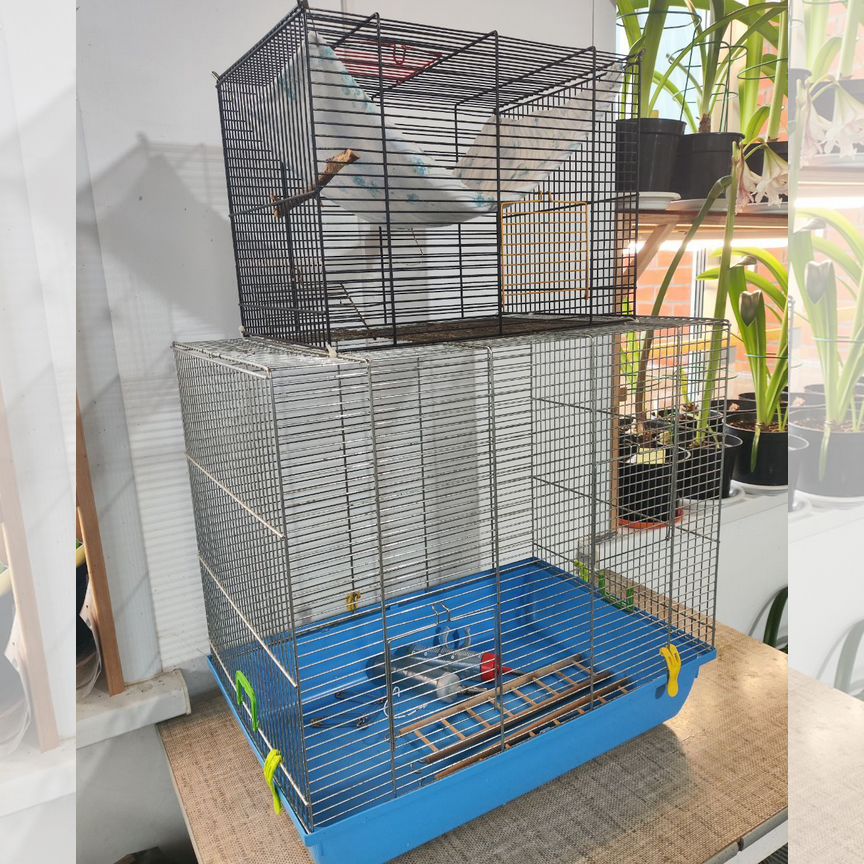 Клетка для грызунов большая бу