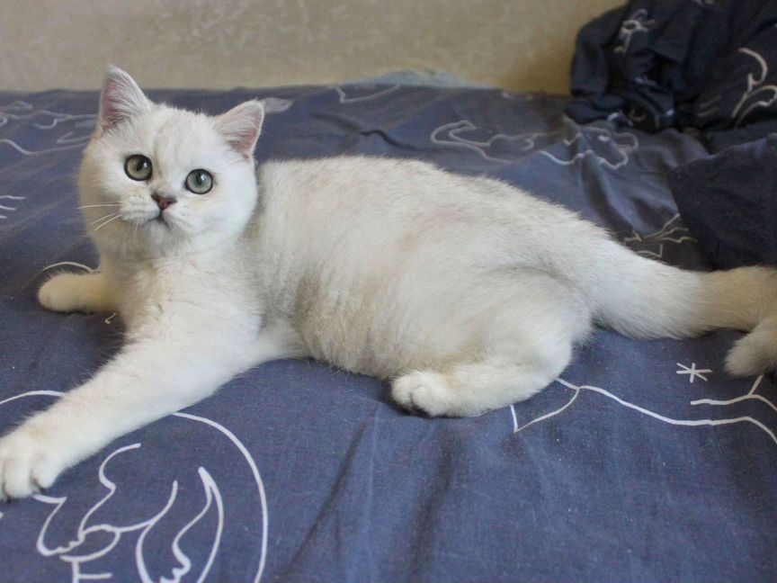 Очаровательные мальчишки