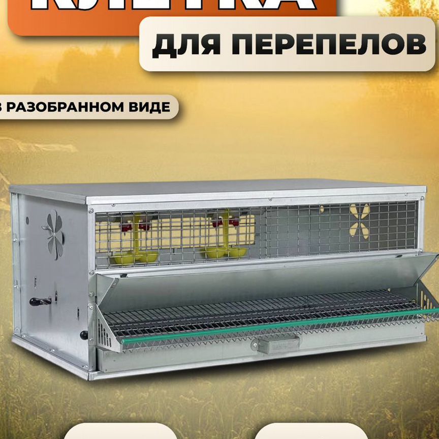 Клетки перепелиные