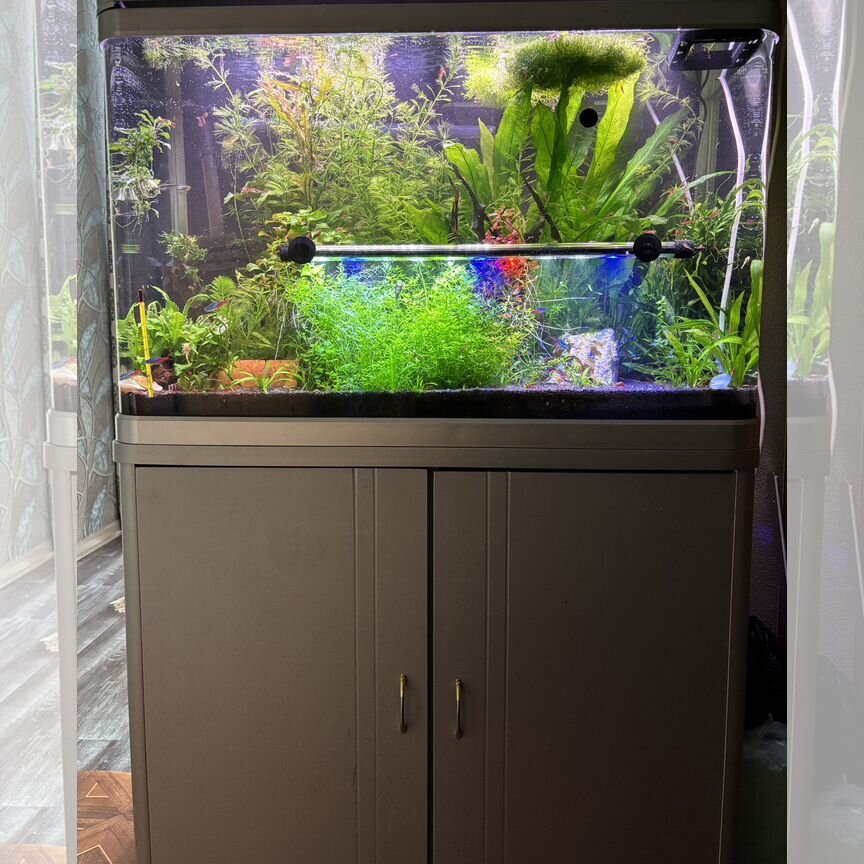 Аквариум травник