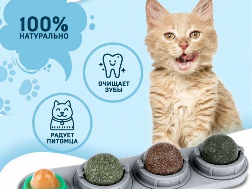 Кошачья мята леденец для кошек новый