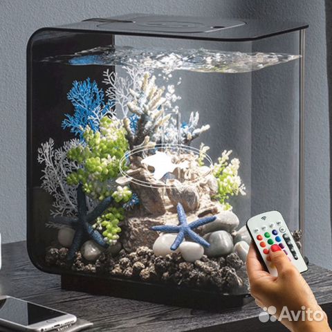 Аквариумистика