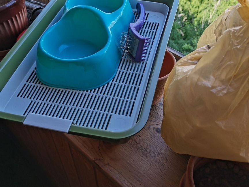 Лоток для кошек, миска, щётка - чесалка