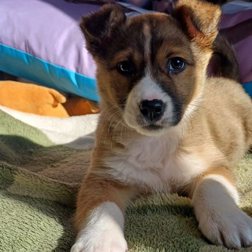 Малышка Наташа