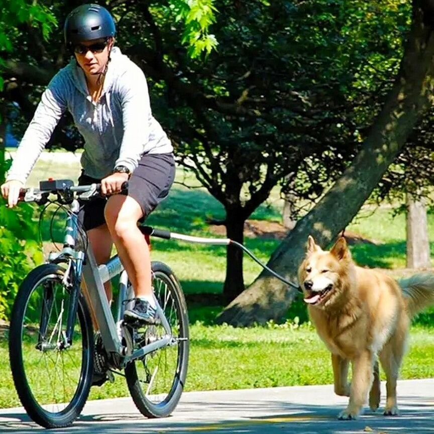 Велоспрингер Велосипедная удочка для собак Поводок