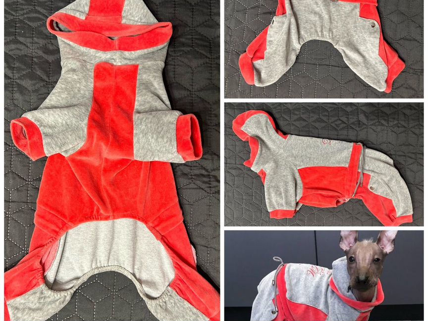 Одежда для маленьких собак