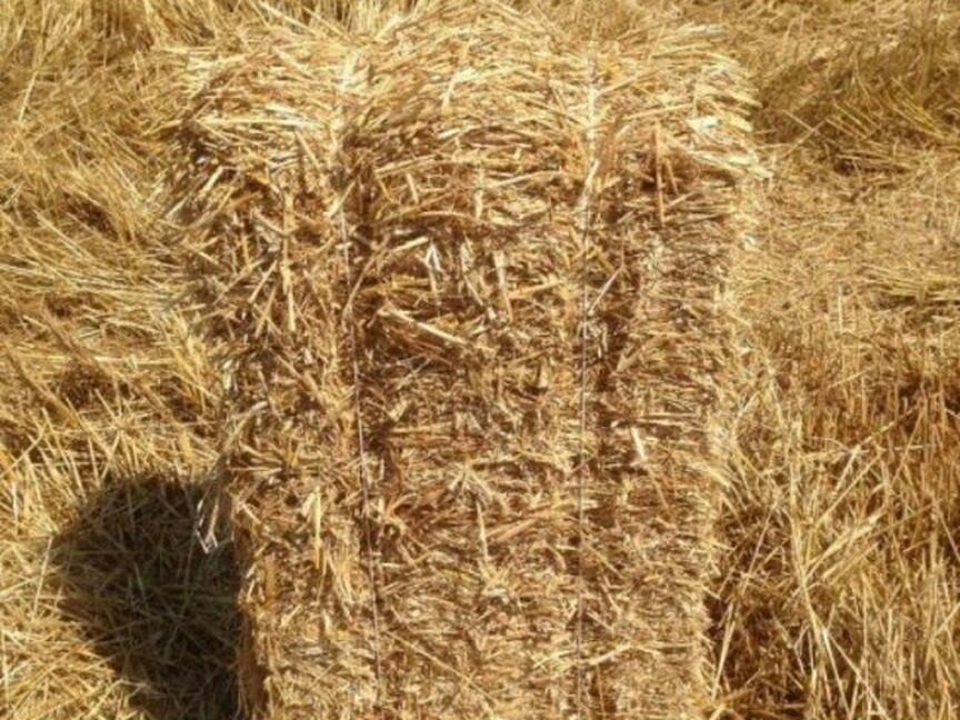 Солома в тюках с доставкой