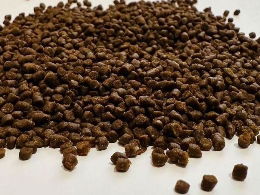 Корм для рыб