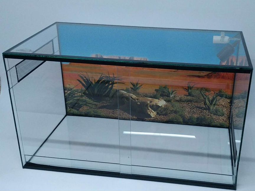 Террариум для агамы