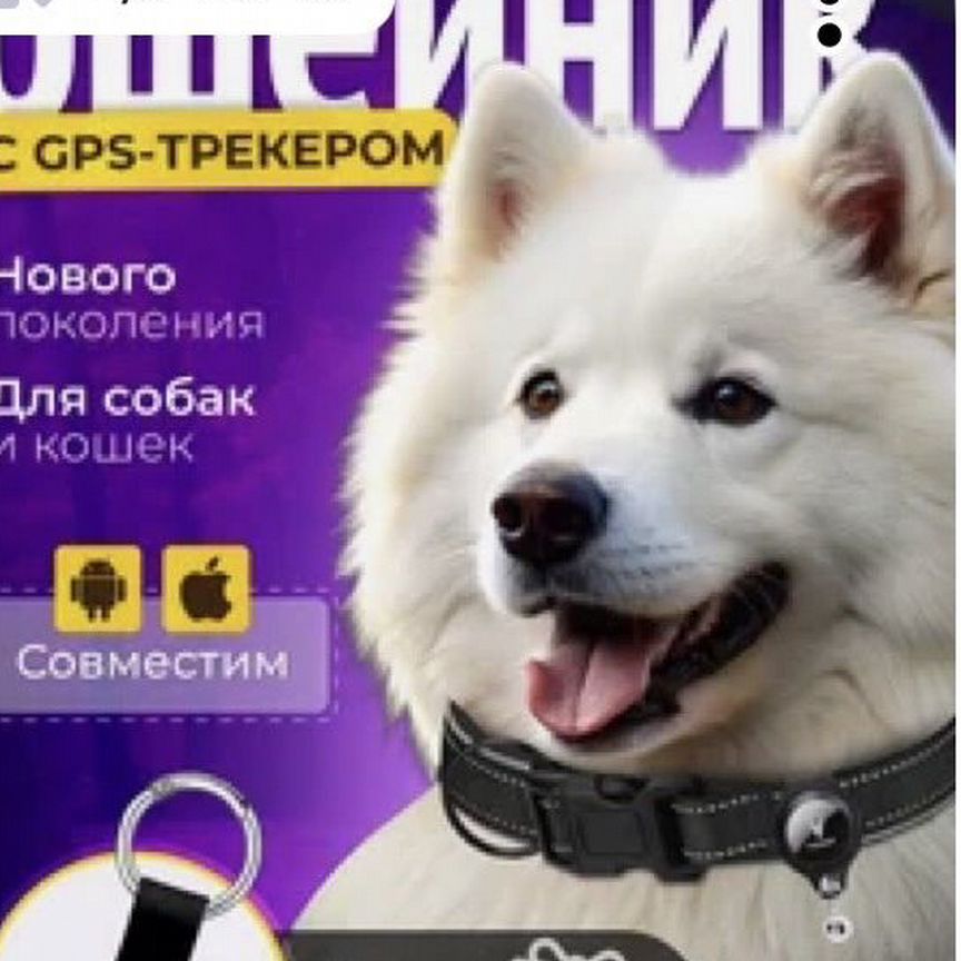 Ошейник с gps